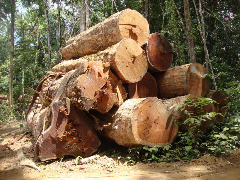 Stardust Secured™ Solutions - Stardust Materials